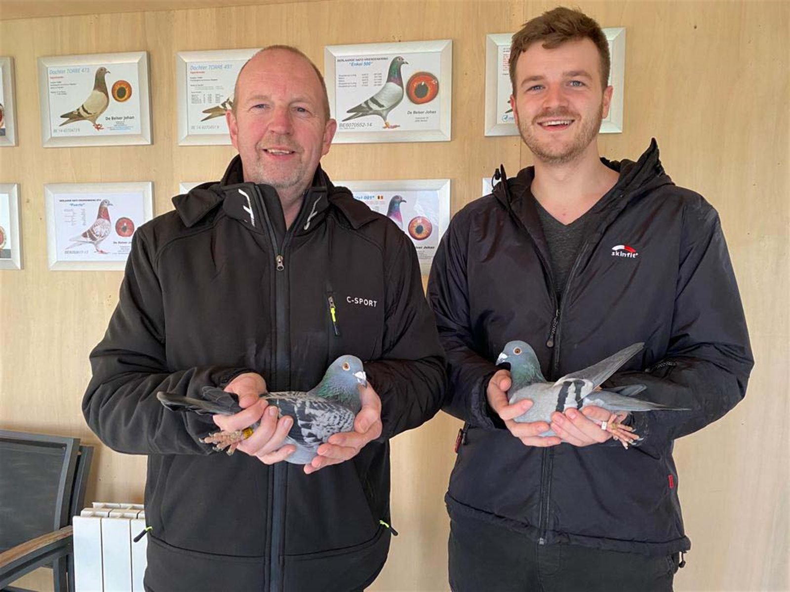 Duivenspel: Nestspel vs Klassieke Weduwschap - De Belser Racing Pigeons